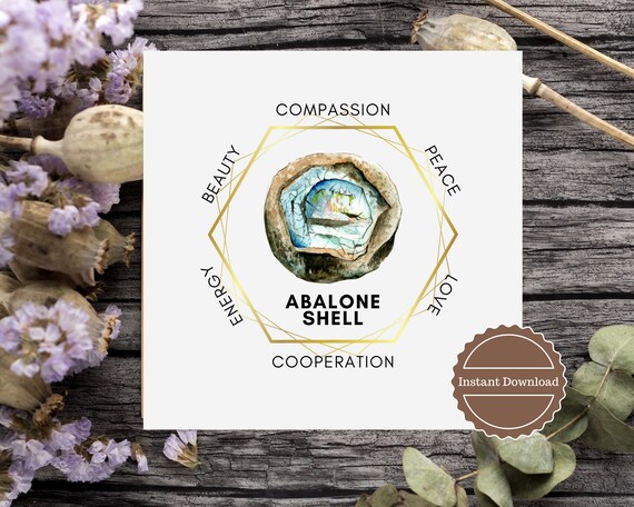 Abalone shell stone printable crystal meaning card. Product | Etsy