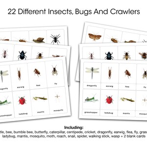3-part Montessori Matching Cards Insects Bugs Homeschool | Etsy