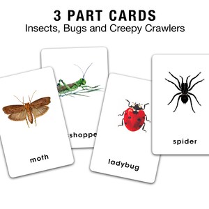 3-part Montessori Matching Cards Insects Bugs Homeschool | Etsy