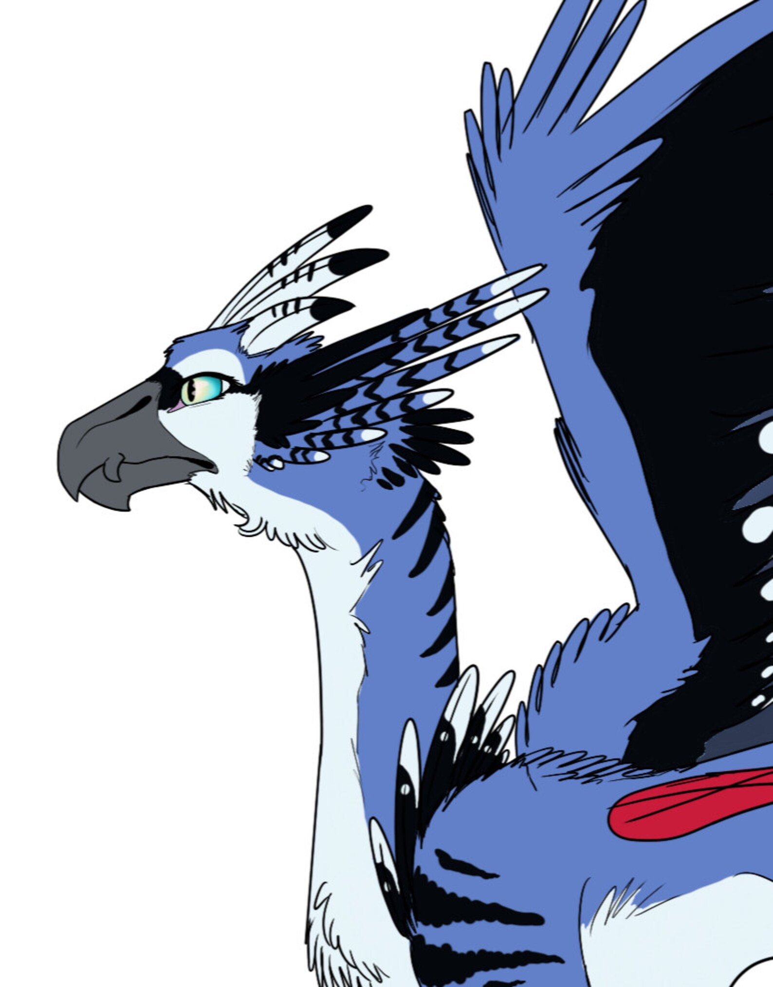 Blue jay themed griffon dragon furry adopt | Etsy