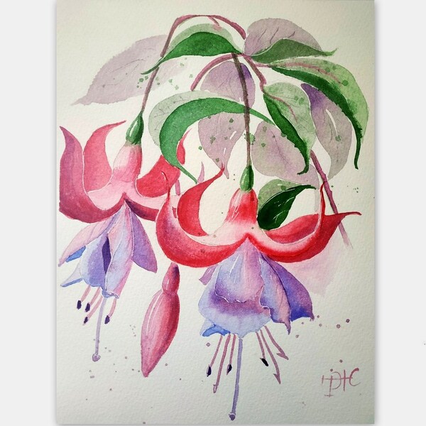 Fuchsia Painting - Etsy