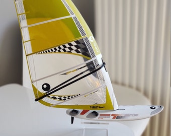 Model Windsurfing Bic Techno 293 One Design 7.8 - Etsy