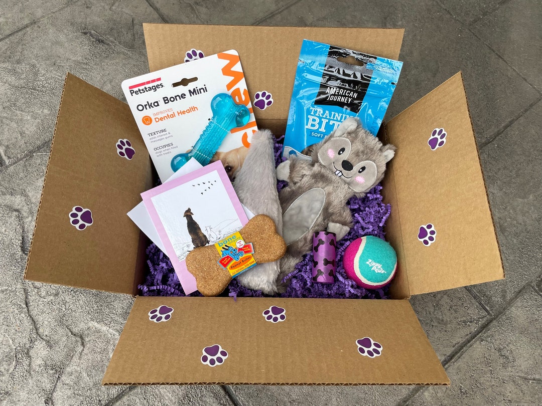 Puppy Parcel - New Puppy Gift Box - SIX Treats/toys! - Etsy