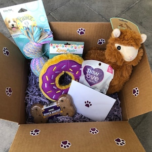 Pup Parcel - Doggy Gift Box - FIVE Treats/toys! - Etsy