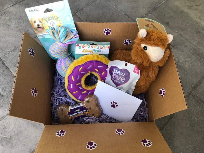 Pup Parcel Doggy Gift Box FIVE Treats/toys - Etsy