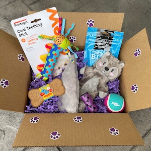 Puppy Parcel - New Puppy Gift Box - SIX Treats/toys! - Etsy