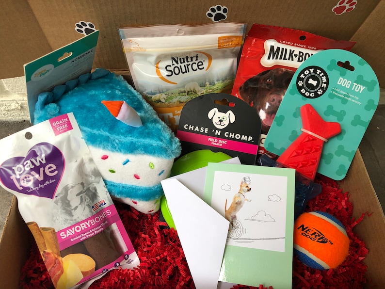 Double Pup Parcel Doggy Gift Box EIGHT Toys/treats - Etsy