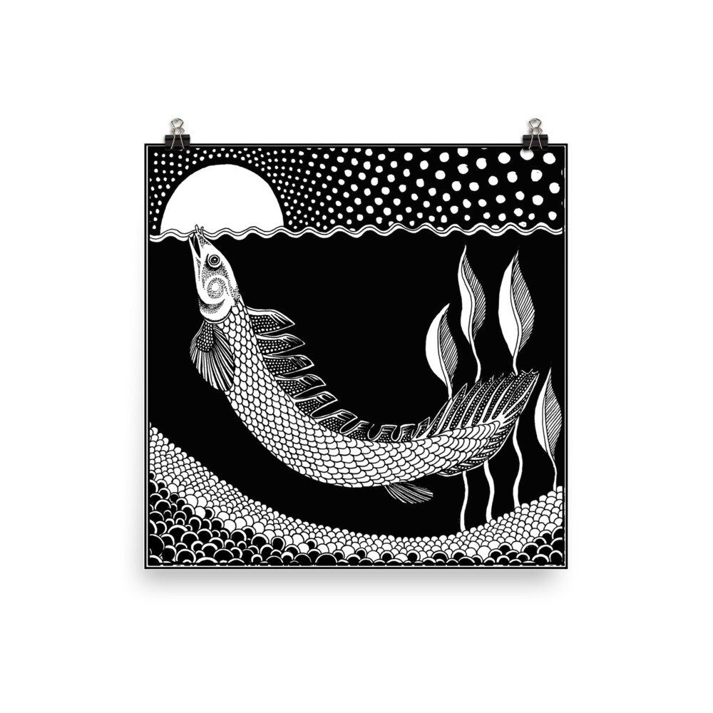 Bichir: Poster - Etsy
