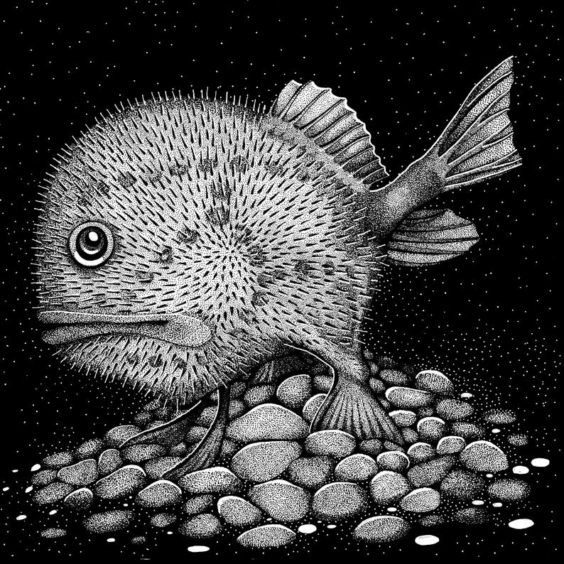 Toadfish: Original Drawing - Etsy