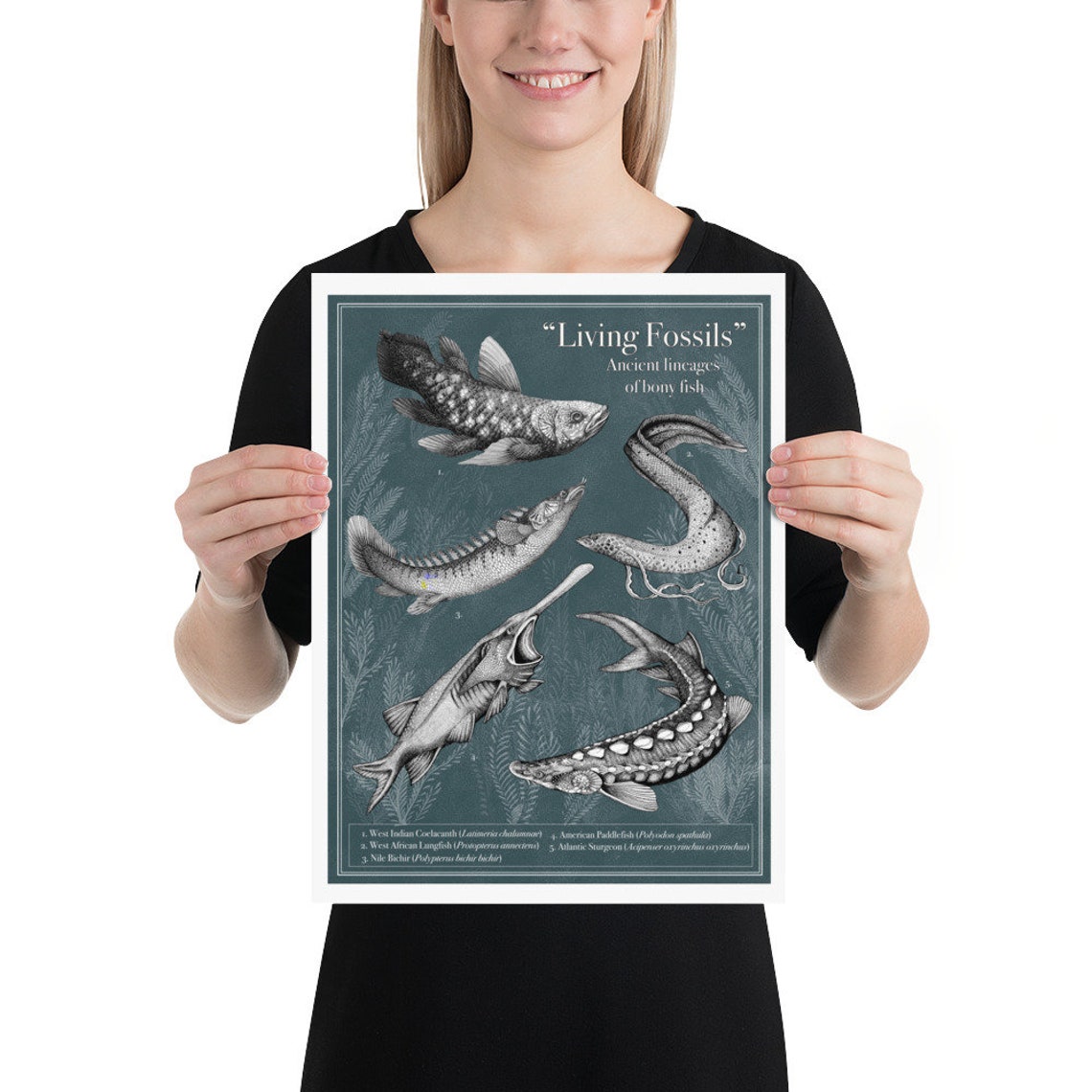 Living Fossil Fish: Poster - Etsy