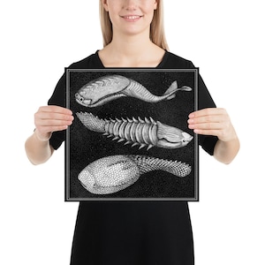 Jawless Fishes of the Paleozoic: Poster - Etsy