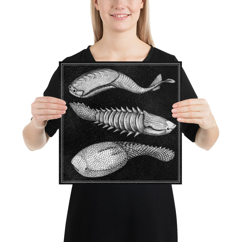 Jawless Fishes of the Paleozoic: Poster - Etsy