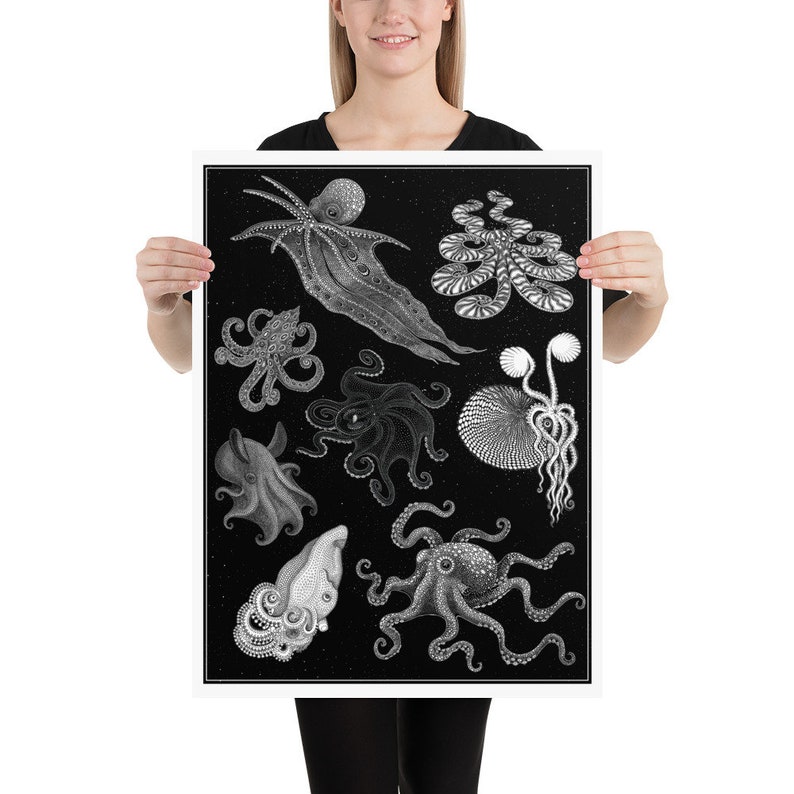 Octopuses of the World: Poster | Etsy
