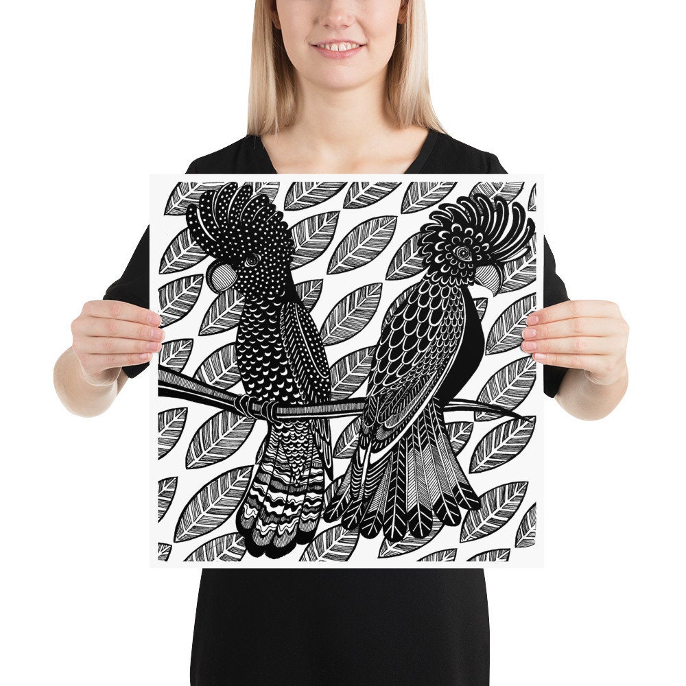 Red-tailed Black Cockatoo: Poster - Etsy