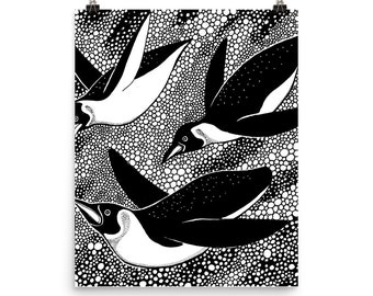 Albatross: Poster | Etsy