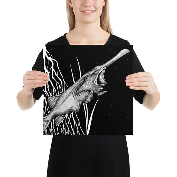Paddlefish: Poster - Etsy