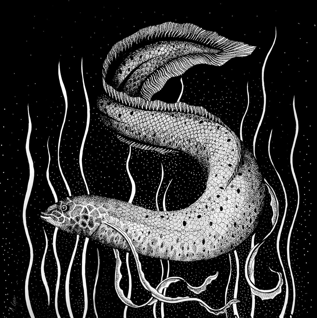 Lungfish - Original Drawing - Etsy