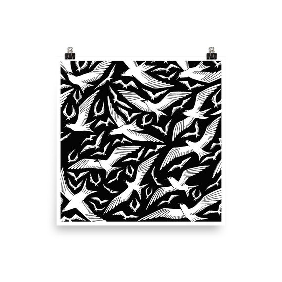 Common Tern : Poster | Etsy