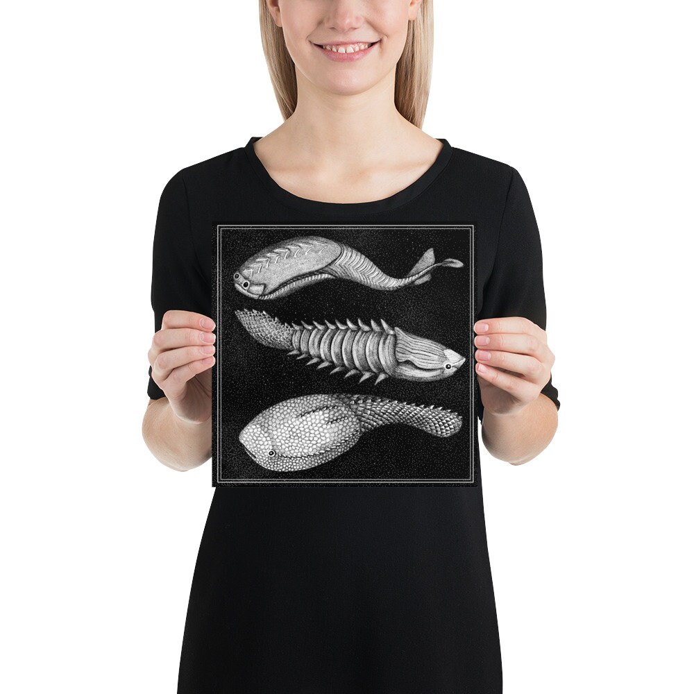 Jawless Fishes of the Paleozoic: Poster - Etsy