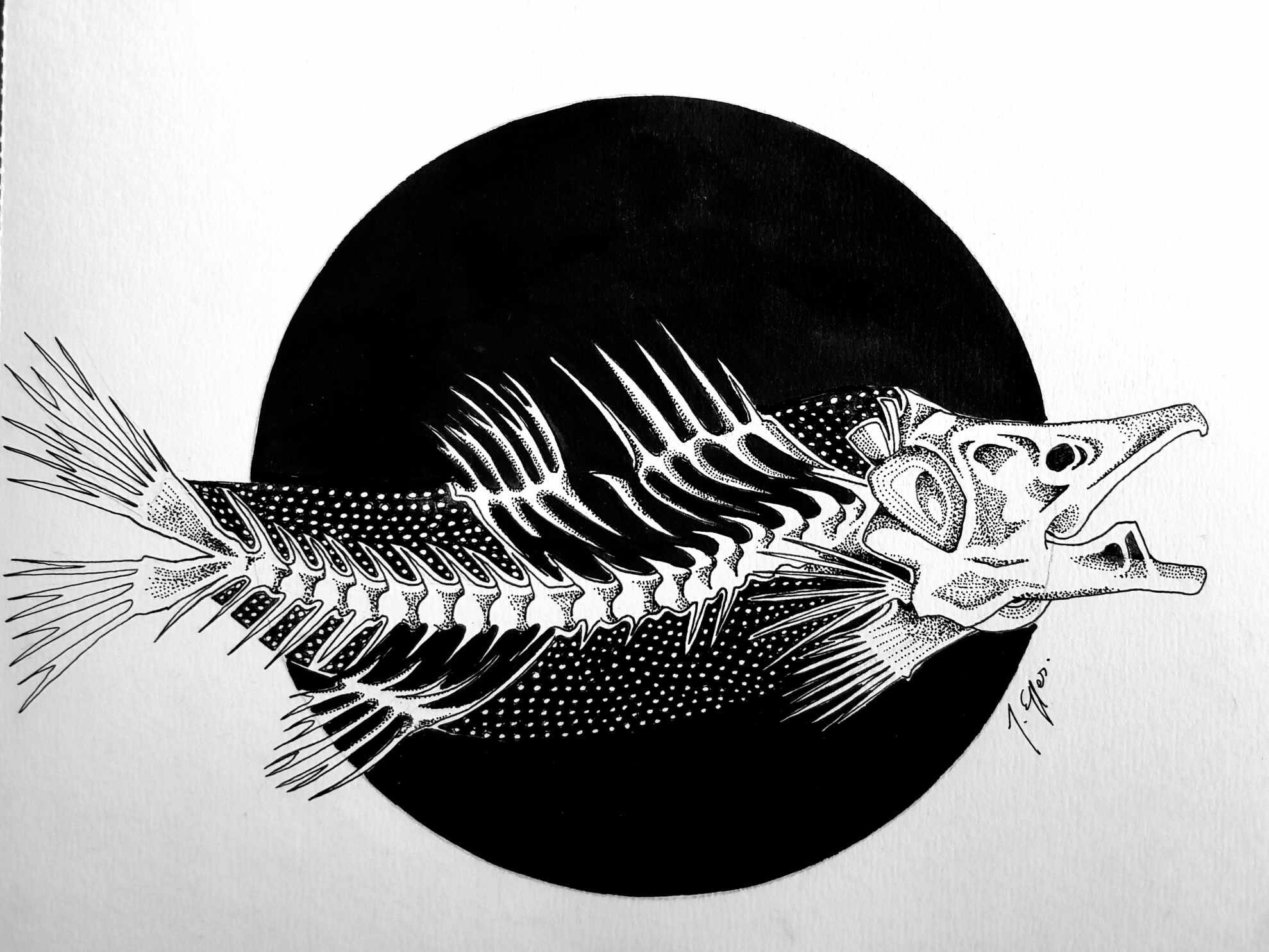 Catfish Skeleton Logo