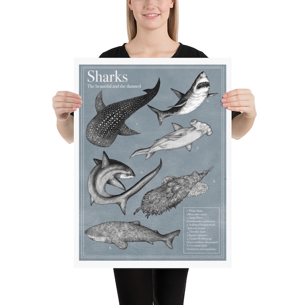 Shark Science Poster - Etsy