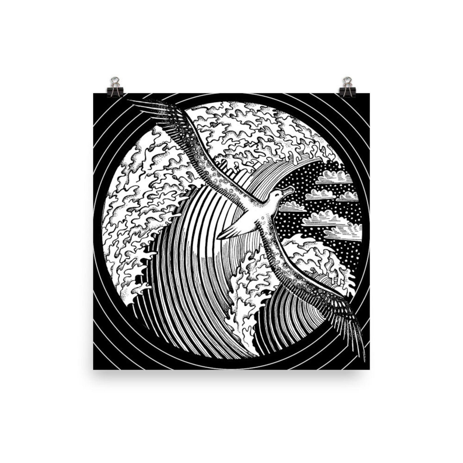 Albatross: Poster - Etsy
