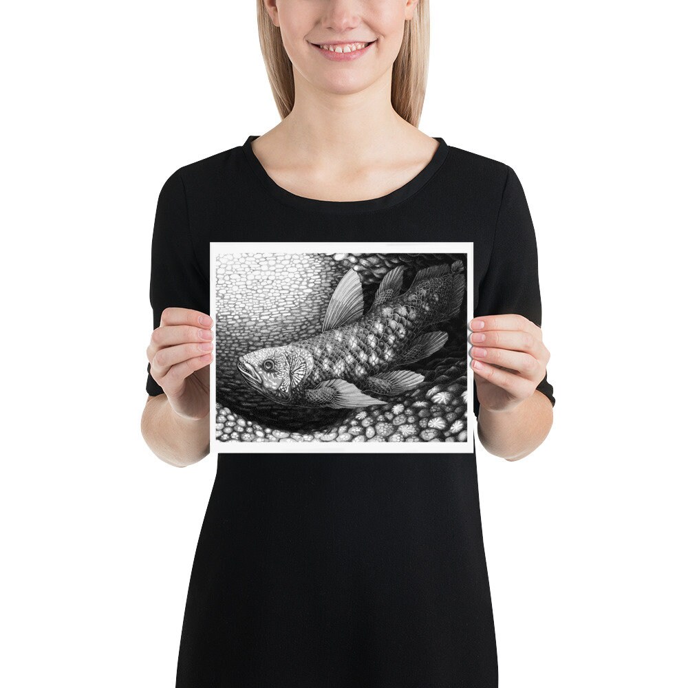 Coelacanth: Poster - Etsy