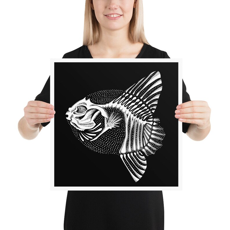 Mola Mola (sunfish) Skeleton: Photo Paper Poster - Etsy