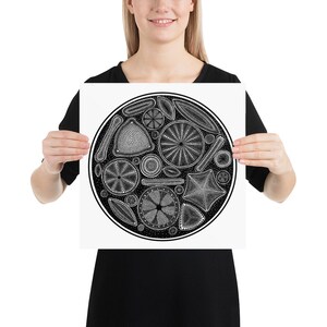 Diatom: Poster - Etsy