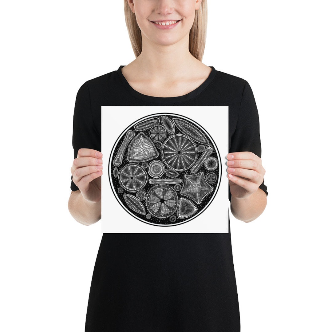 Diatom: Poster - Etsy