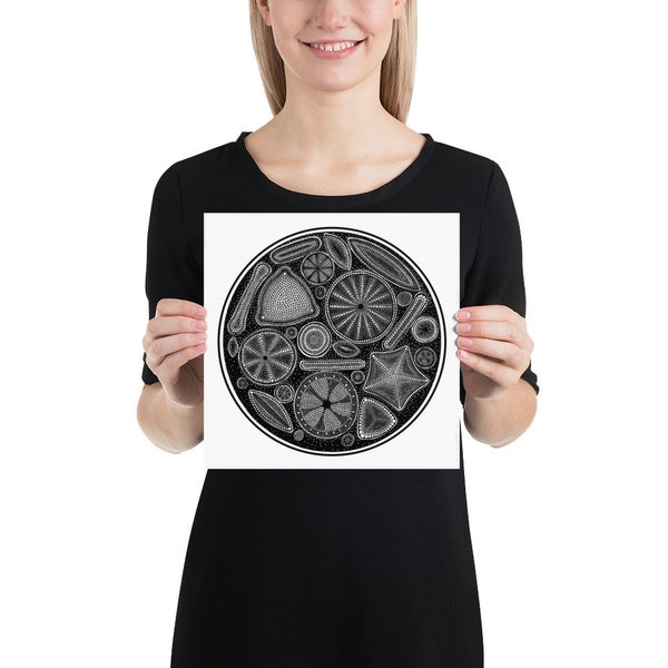Diatom Poster - Etsy