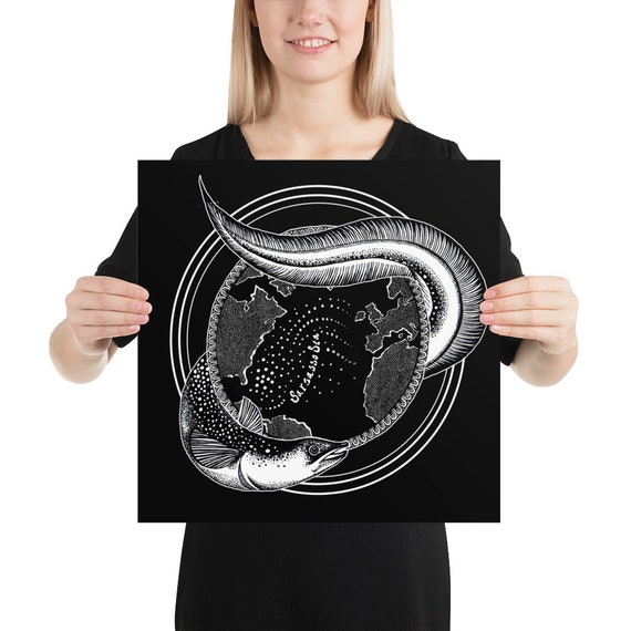 Eel: Poster | Etsy