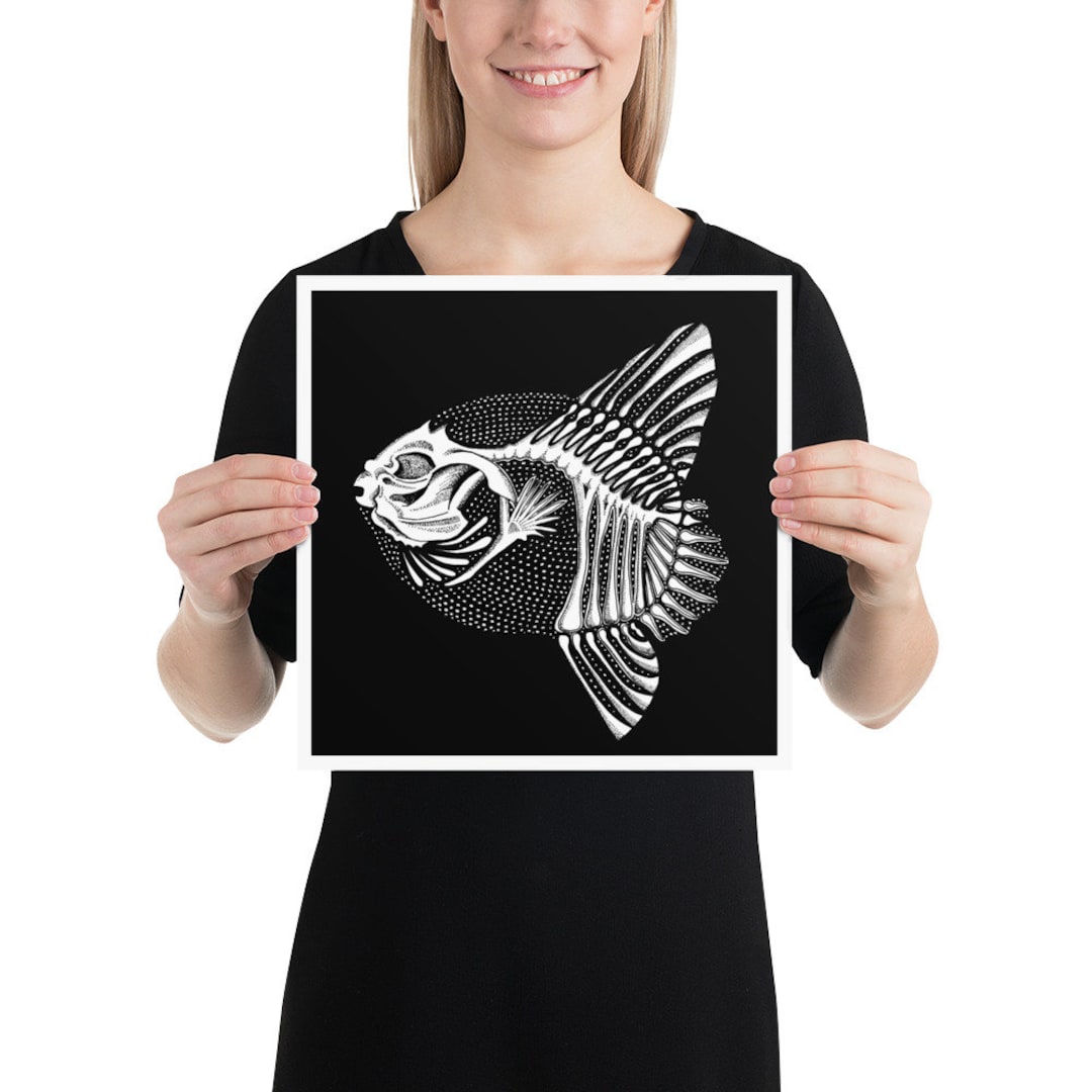 Mola Mola (sunfish) Skeleton: Photo Paper Poster - Etsy