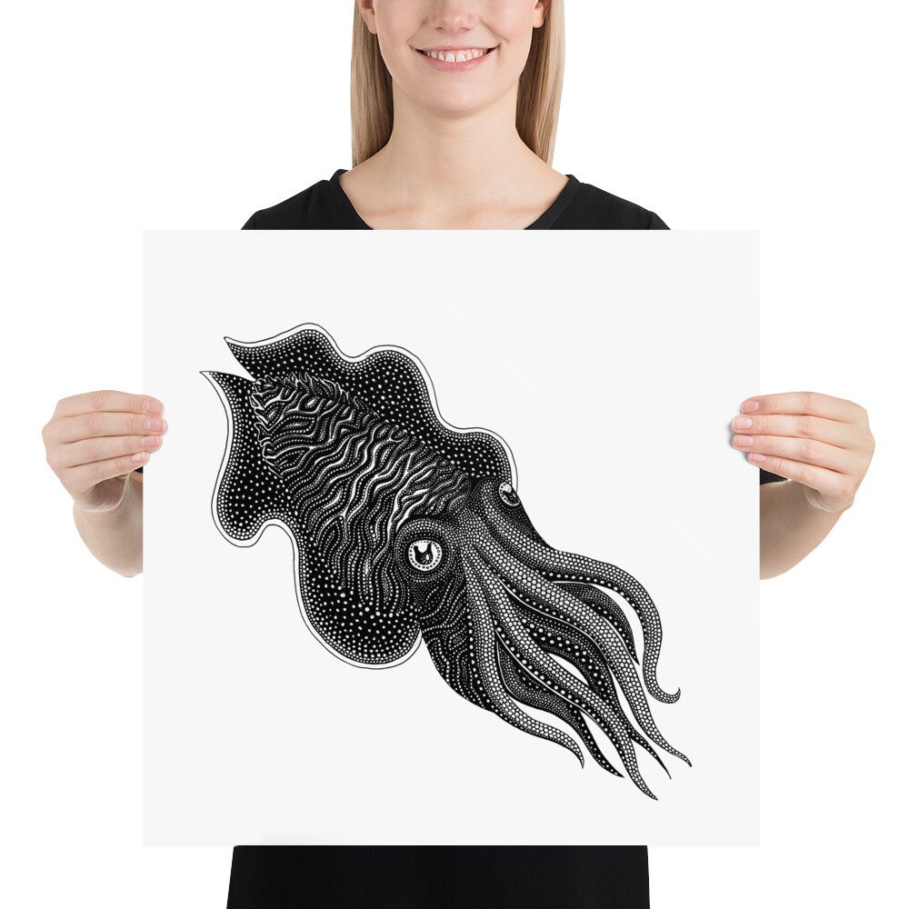 Cuttlefish: Poster - Etsy