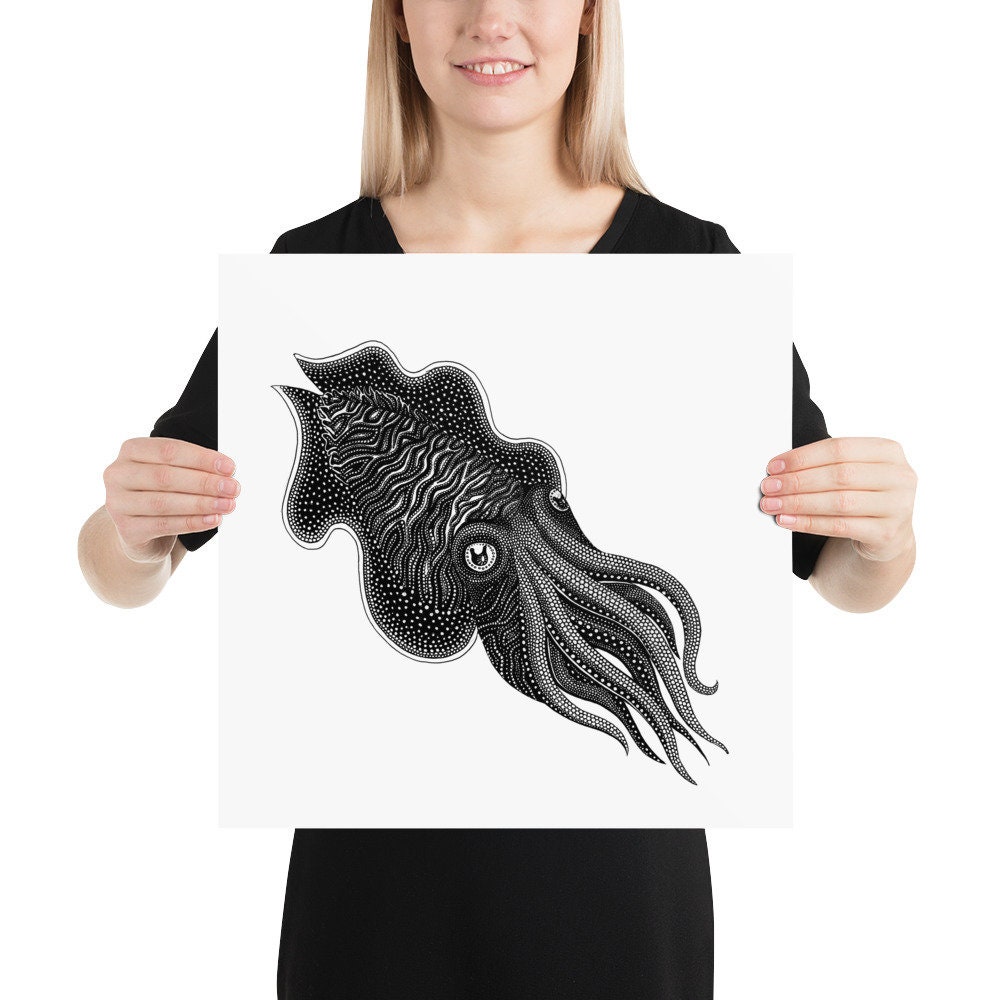 Cuttlefish: Poster - Etsy