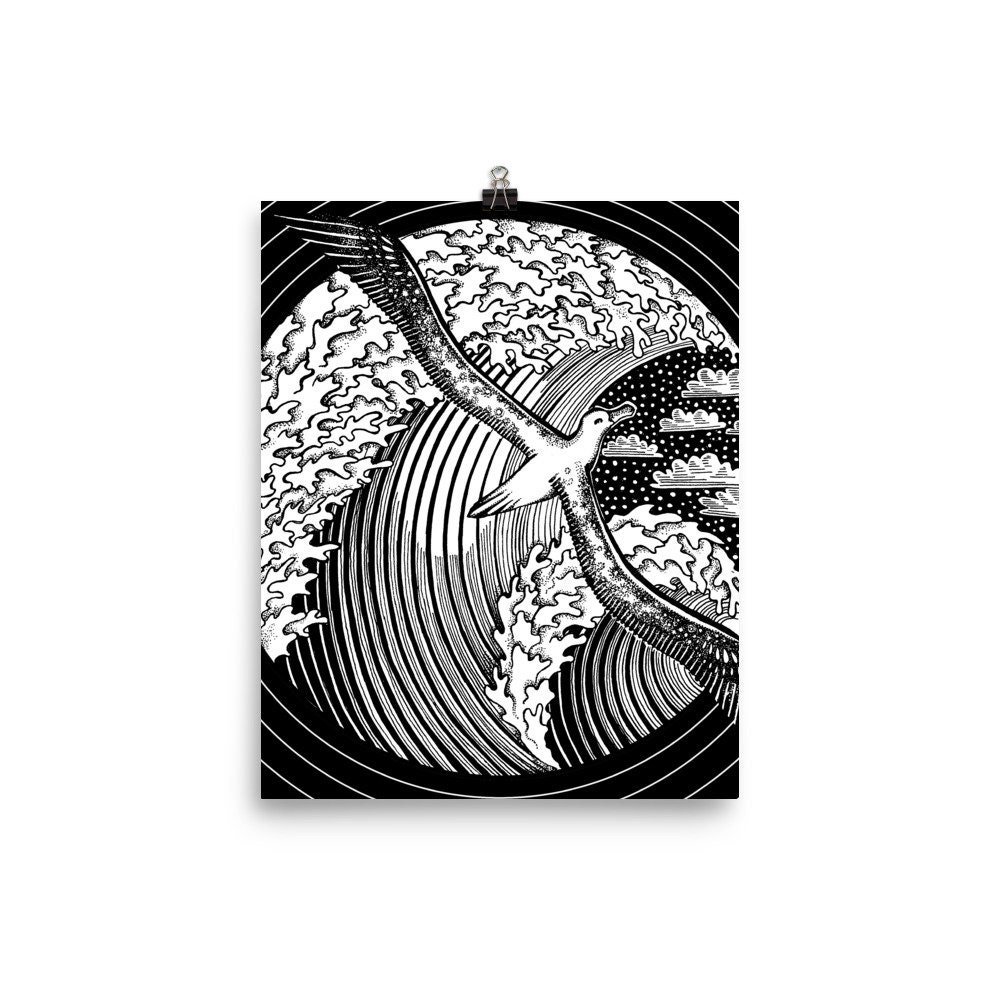 Albatross: Poster | Etsy