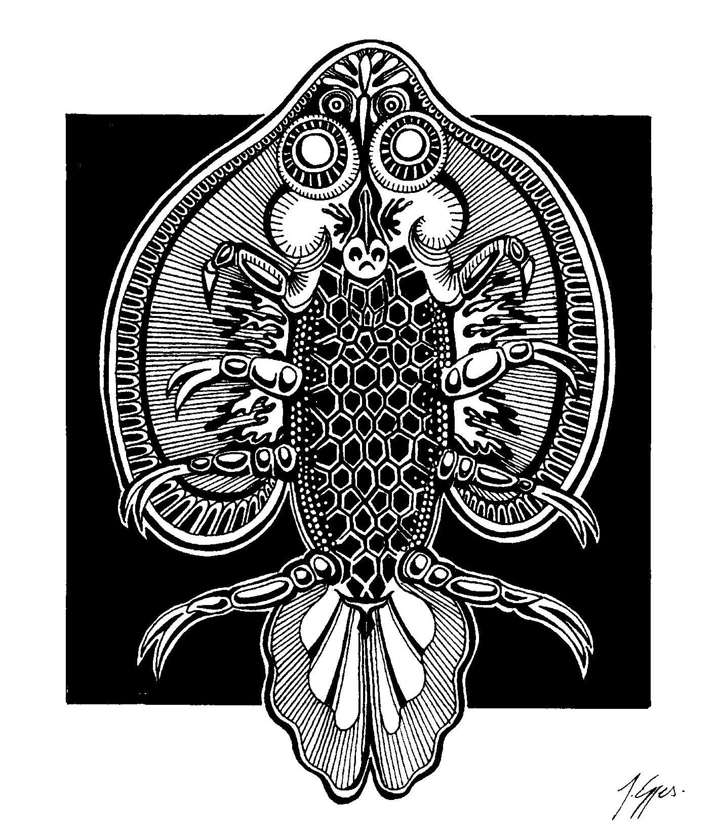 Argulus Fish Lice Original Drawing - Etsy