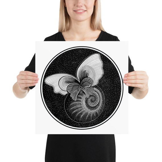 Pteropod: Poster | Etsy