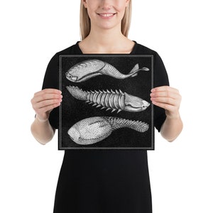 Jawless Fishes of the Paleozoic: Poster - Etsy