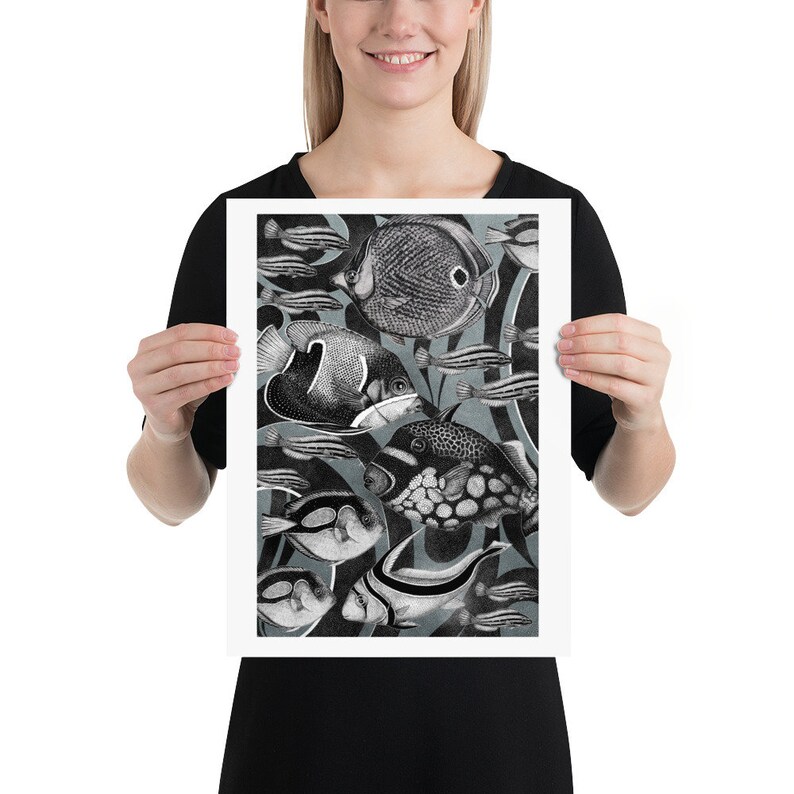 Poster Disruptive Colouring in Coral Reef Fish - Etsy