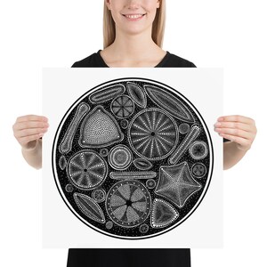 Diatom: Poster - Etsy