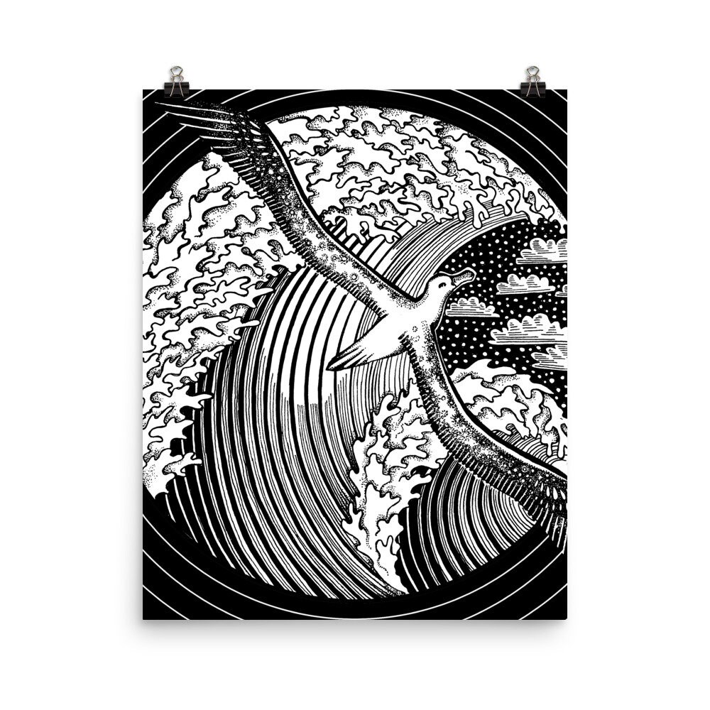 Albatross: Poster - Etsy