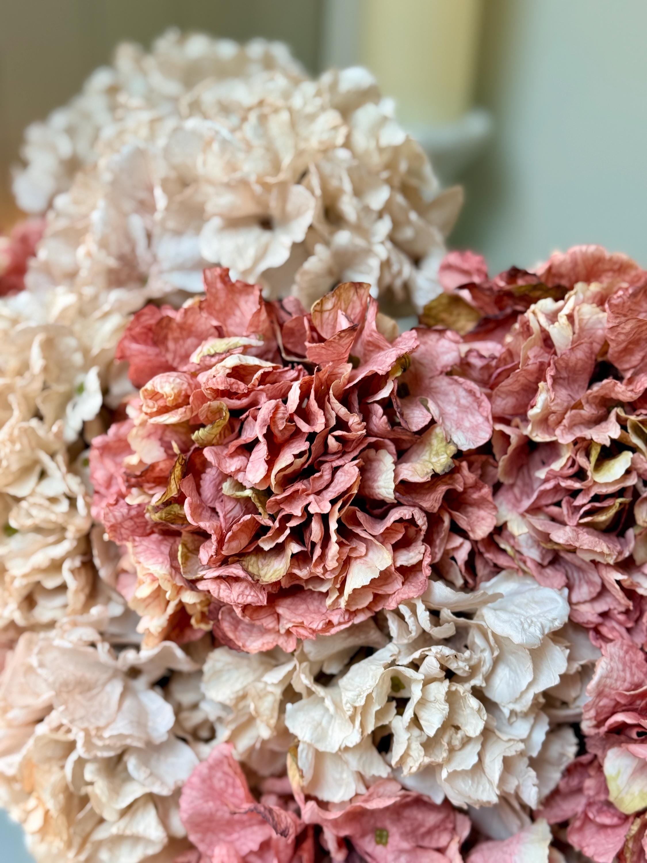 Dried Look Blush and Dusky Pink Artificial Hydrangea Stems | Silk Faux ...