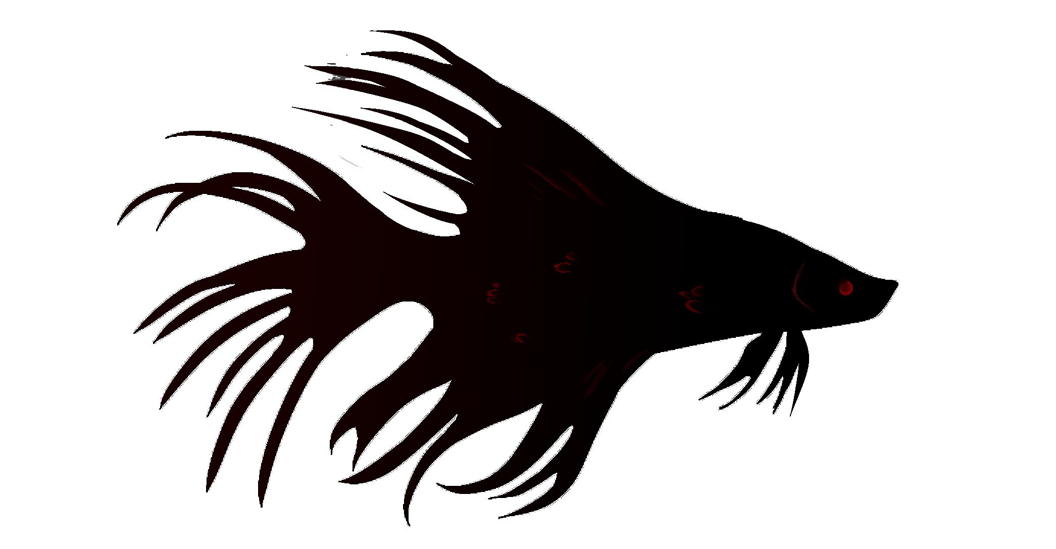 JJK Fish Stickers - Etsy