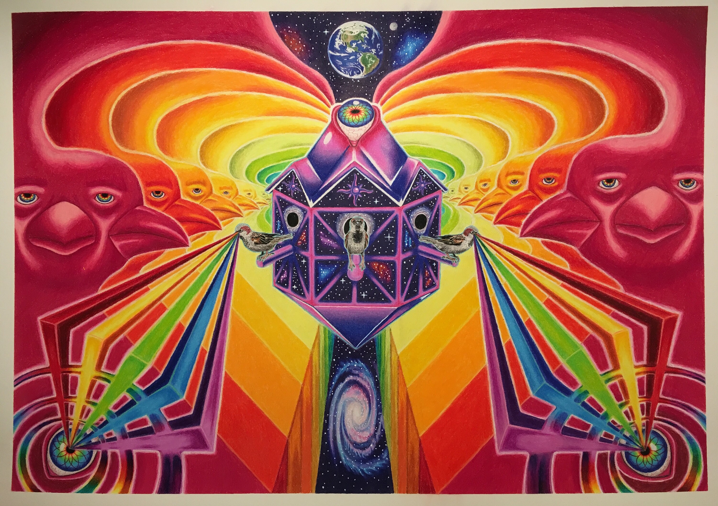 Psychedelic Chicken - Etsy