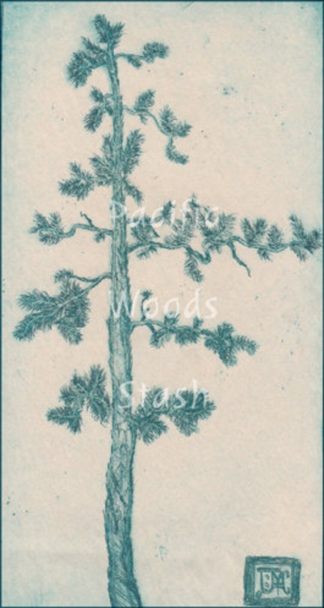 Digital Download of an Original Etching, Pine Tree in Cyan - Etsy