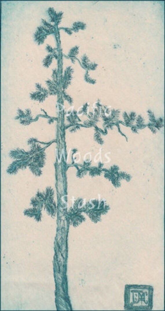 Digital Download of an Original Etching Pine Tree in Cyan | Etsy