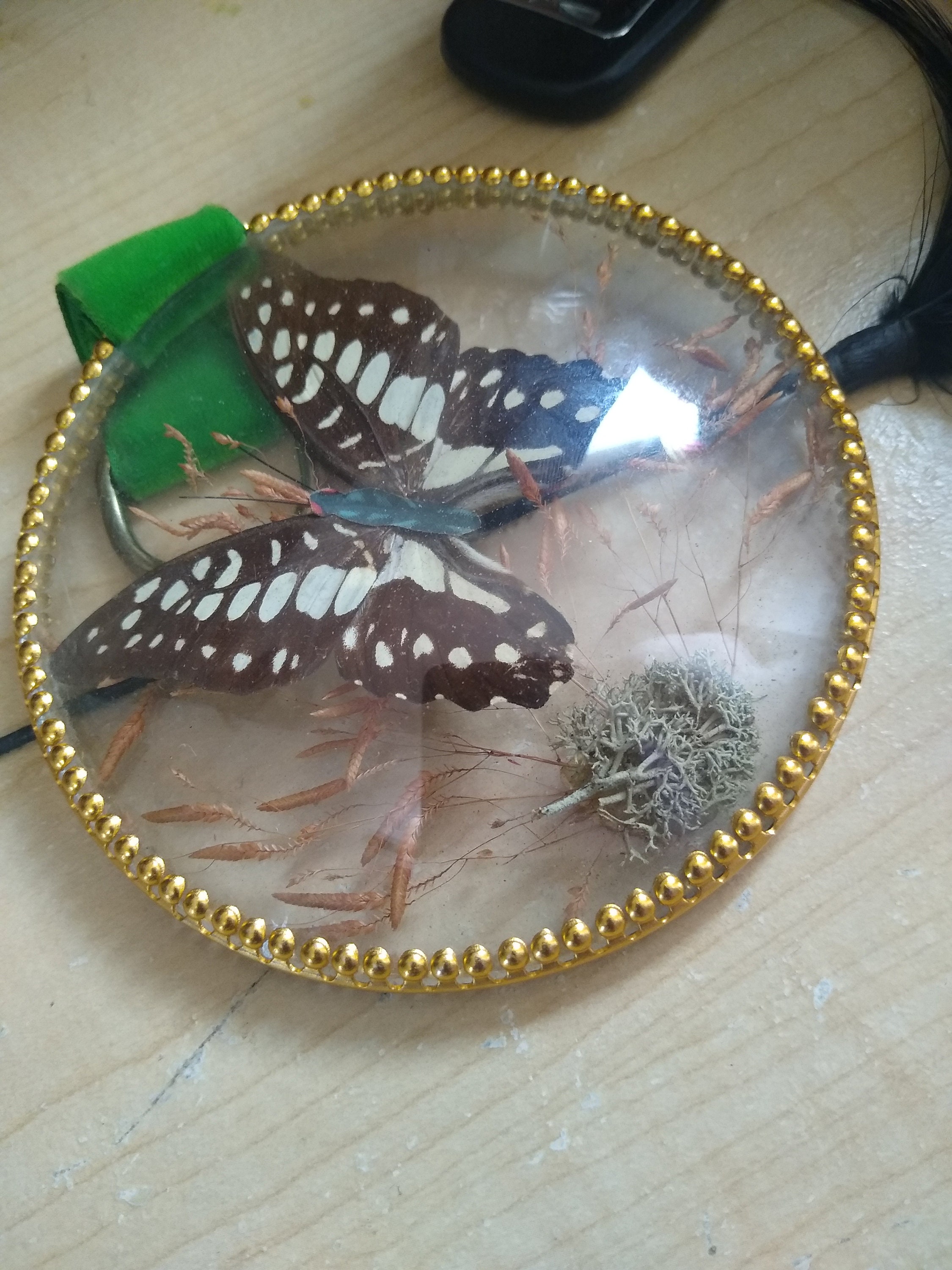 Vintage Clear Glass Butterfly Wall Decor - Etsy