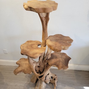 Teak Root Multi-shelf Stand - Etsy