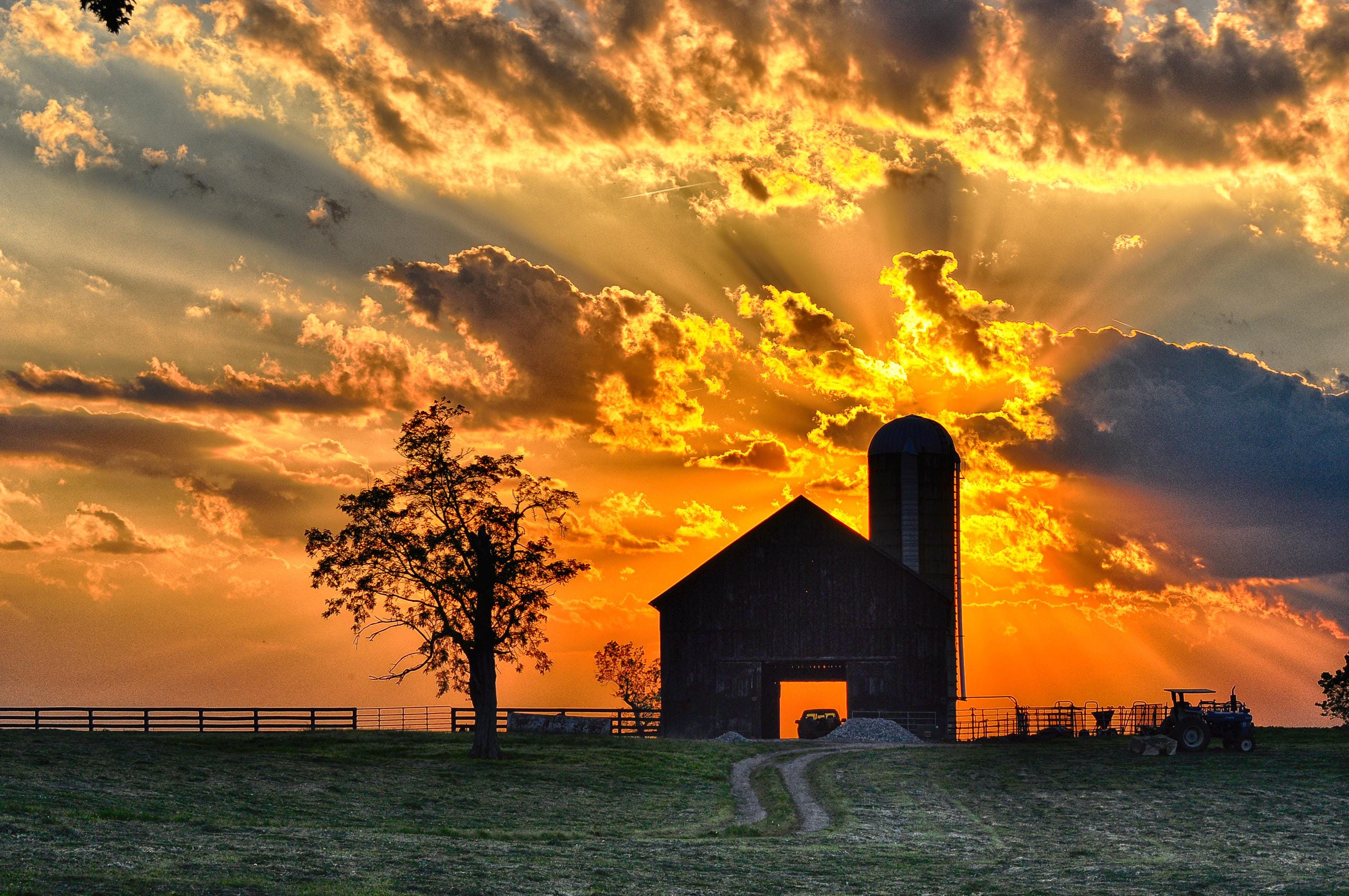 2026 Kentucky Barn Calendar - Etsy